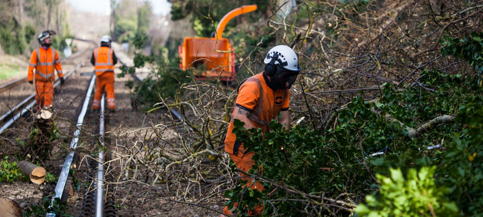 Vegetation Management - Sep Culant